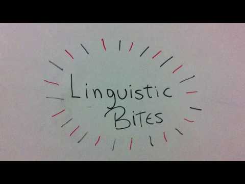 Linguistic Bites: Semantic Fields!