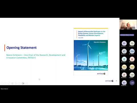 Public Webinar Impact of Renewable Hydrogen on the Power System Sector Development, Flexibility an