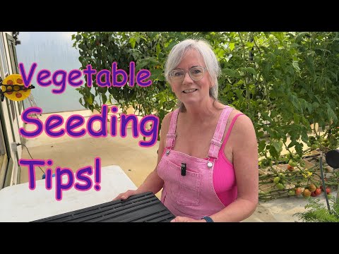 Vegetable Seeding Tip & Tricks