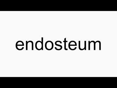 How to pronounce endosteum