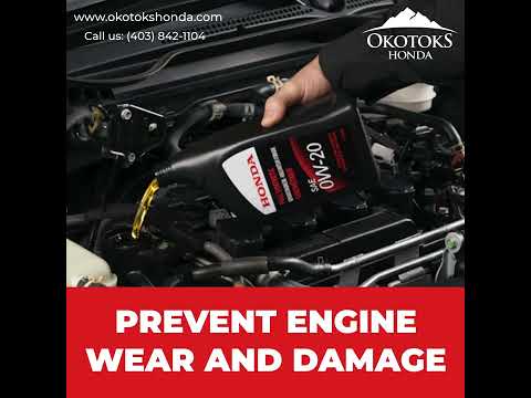 Honda Oil Filters