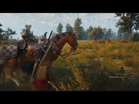 Steam Community :: Video :: The Witcher 3 - Pet Roach and something else...