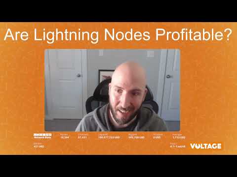 Are Lightning Nodes Profitable? - How to Profit Running a Node!