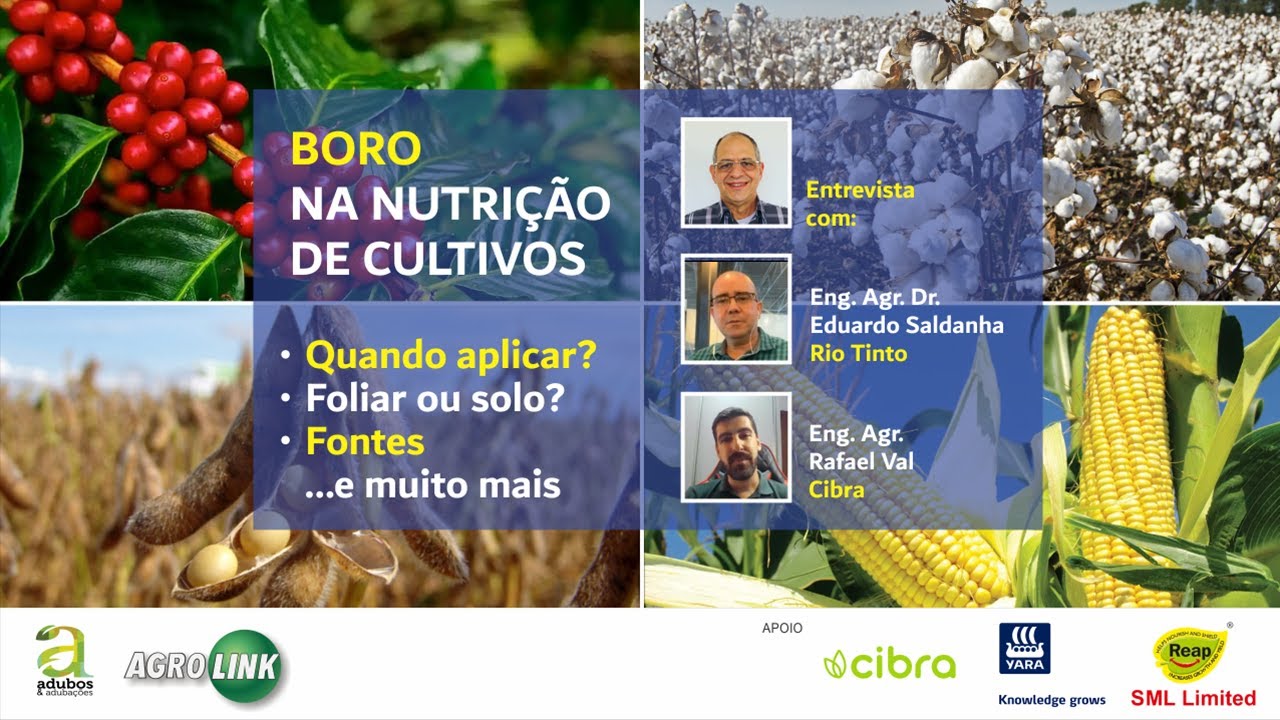 BORO NA NUTRIÇÃO DE CULTIVOS