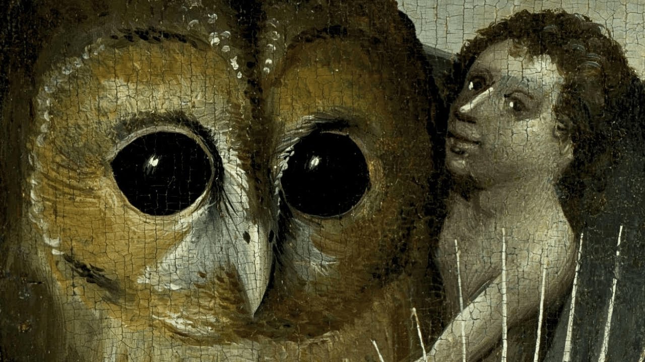 The Hidden Symbolism of Owls
