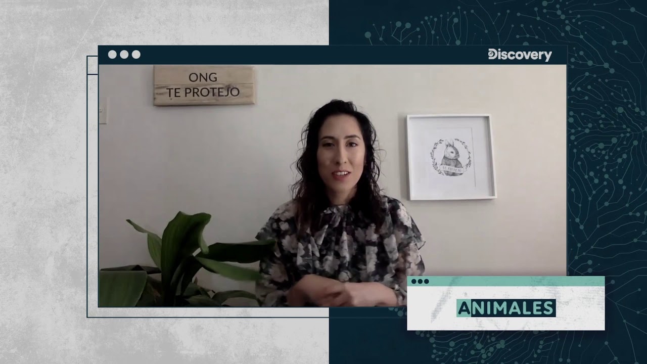 Discovery y Softys presentan: CLICK SUSTENTABLE - Te Protejo