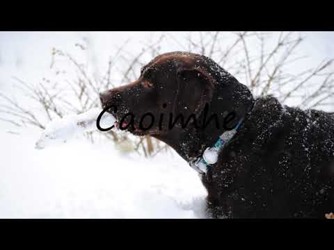 How to pronounce Caoimhe?
