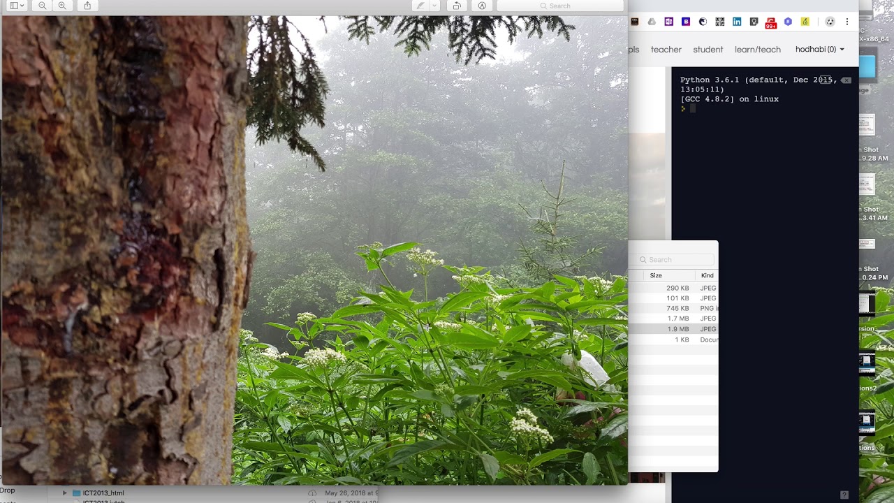 Getting GPS coordinates from an image in Python