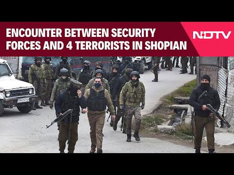 Jammu Kashmir Latest | Encounter Between Security Forces And 4 Terrorists In J&K's Shopian