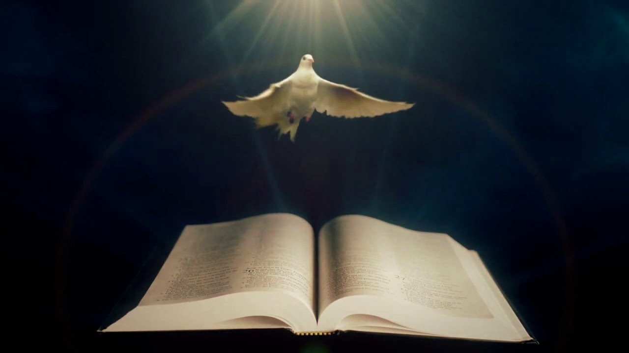 Dove background 2