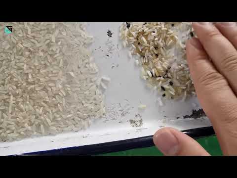 SG rice color sorter/rice sorting machine