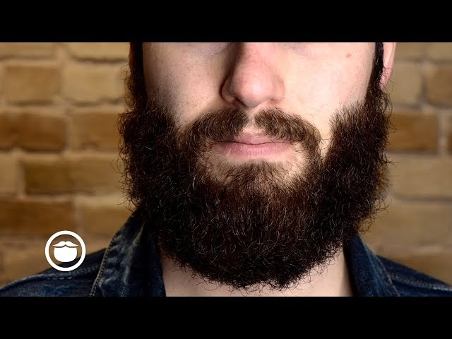 Urban Beardsman the Beardbrand Blog