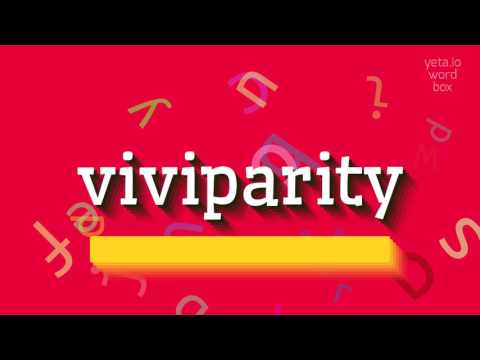How to say "viviparity"! (High Quality Voices)