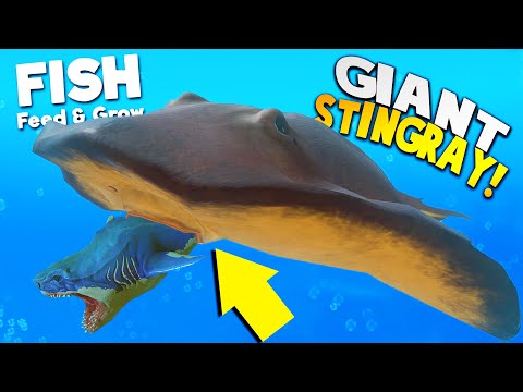 *NEW* GIANT STINGRAY vs PREHISTORIC PROGNATHODON! | Feed and Grow Fish