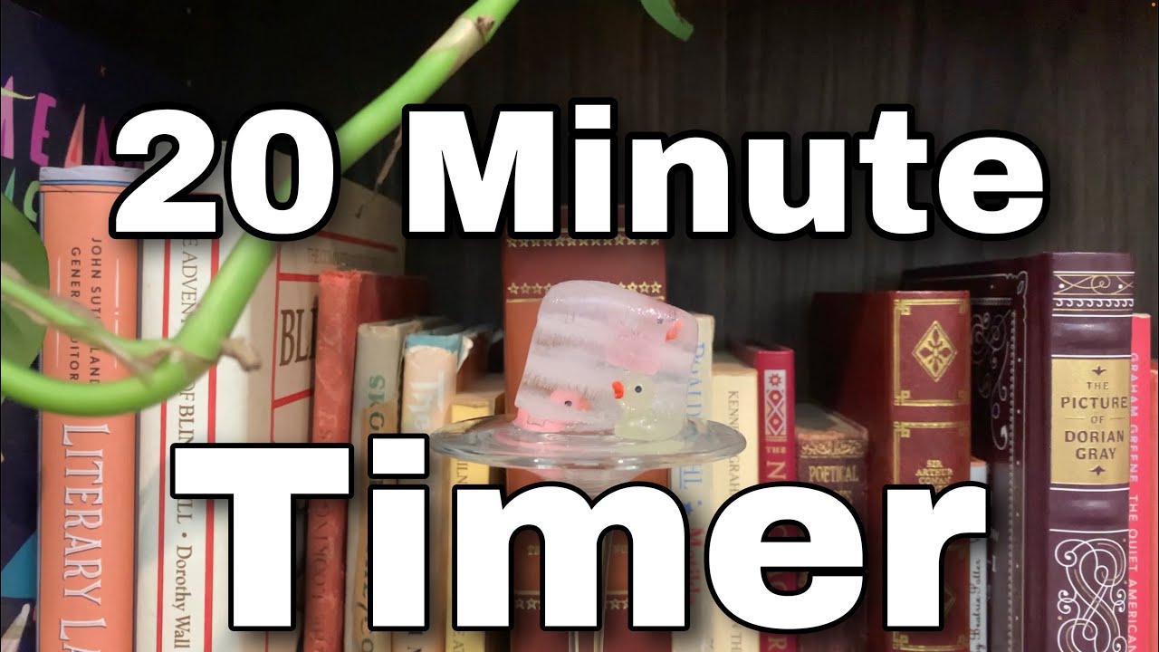 20 Minute Timer - Tiny Ducks in Ice Cube Time Lapse