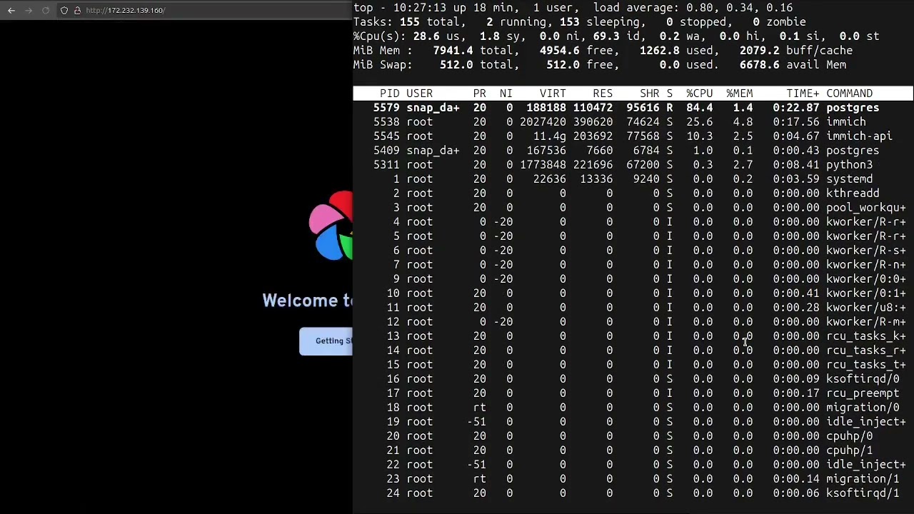 Immich Distribution | Installation