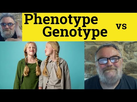???? Phenotype vs Genotype Meaning - Phenotype or Genotype Examples - Genotype and Phenotype Definition
