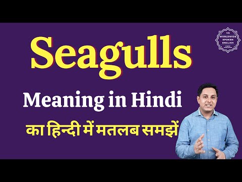 Seagulls meaning in Hindi | Seagulls ka matlab kya hota hai | English vocabulary words