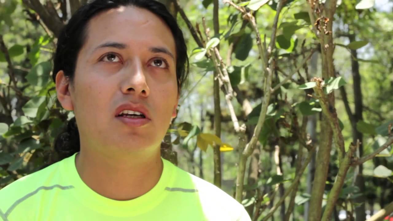 Casa Alianza México 25 años Trailer 2