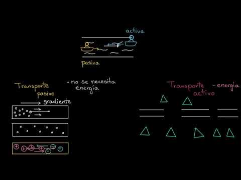 Introducción al transporte activo y pasivo | Khan Academy en Español