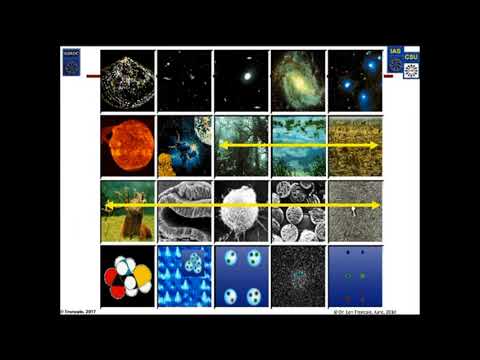 Beyond Biomimicry to Systems Mimicry
