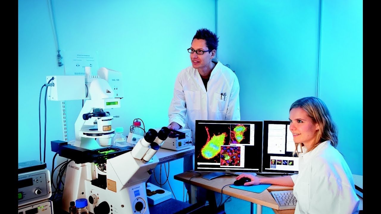 Master´s Degree Programme in Biomedical Imaging - BIMA 2014