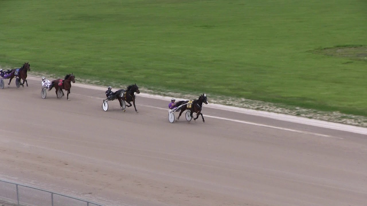 Eldorado Scioto Downs Qualifier #3  May 20, 2020