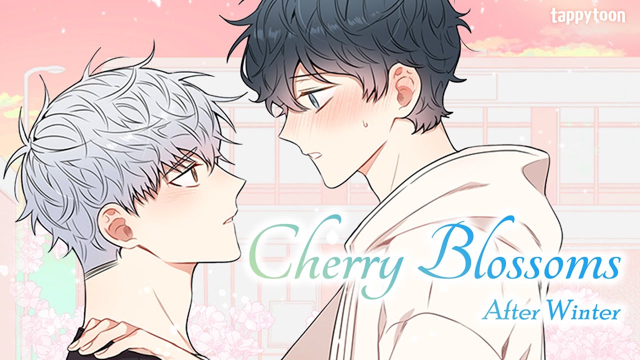 Cherry Blossoms After Winter (Official)