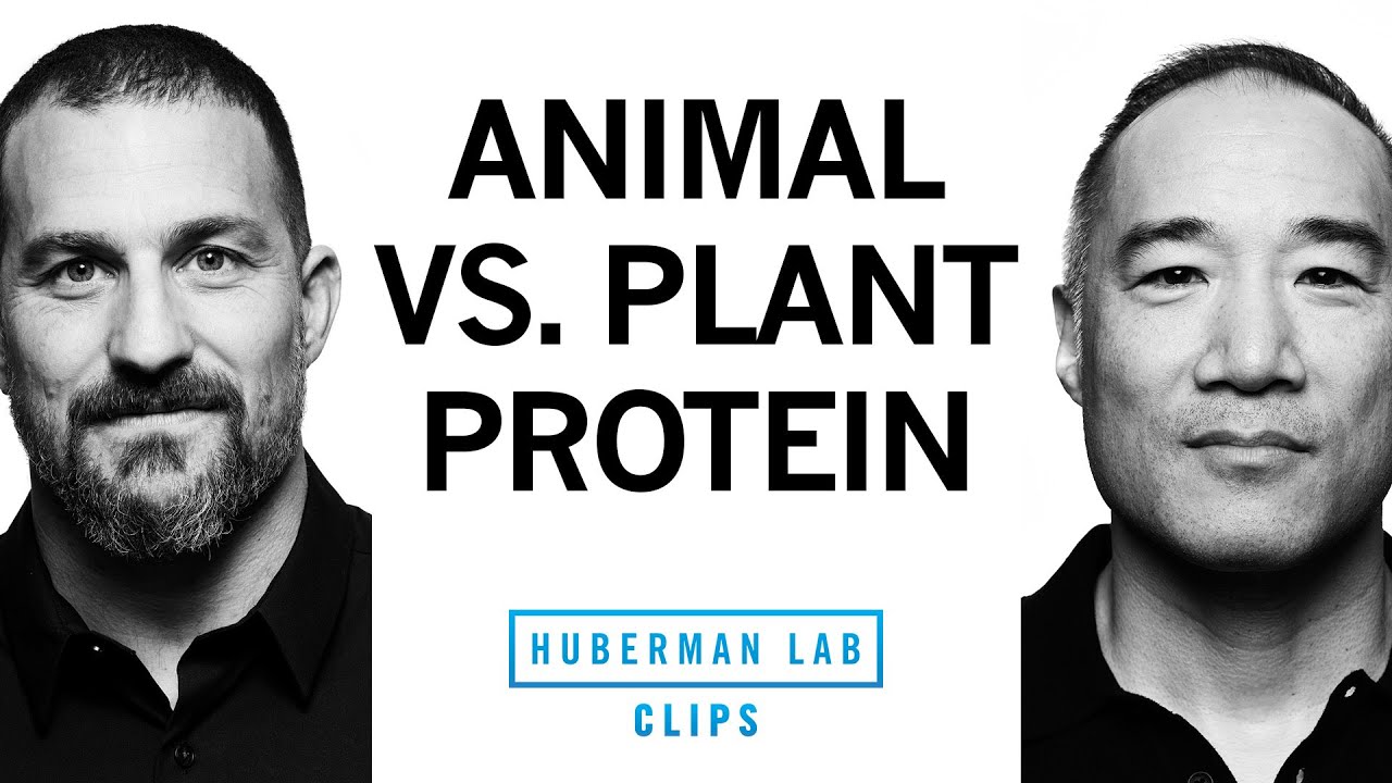 The Truth About Animal vs. Plant Protein Quality | Alan Aragon & Dr. Andrew Huberman