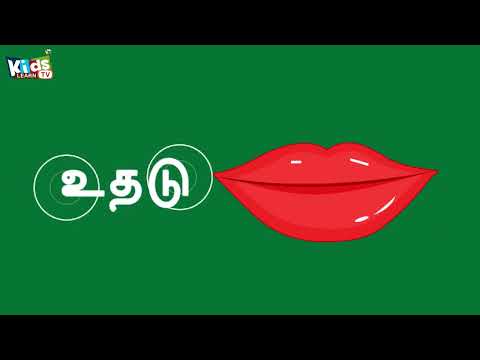 Three Letter words in Tamil - Three Letter Words for Kids - மூன்றெழுத்துச் சொற்கள் - Part 2