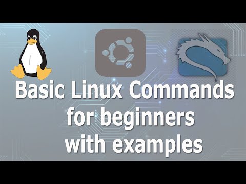 Basic Linux Commands for beginners with examples