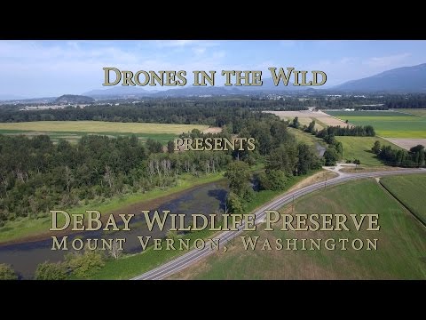 DeBay's Wildlife Reserve from a Drone, Mount Vernon, Washington