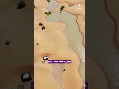 Sahara Desert floods