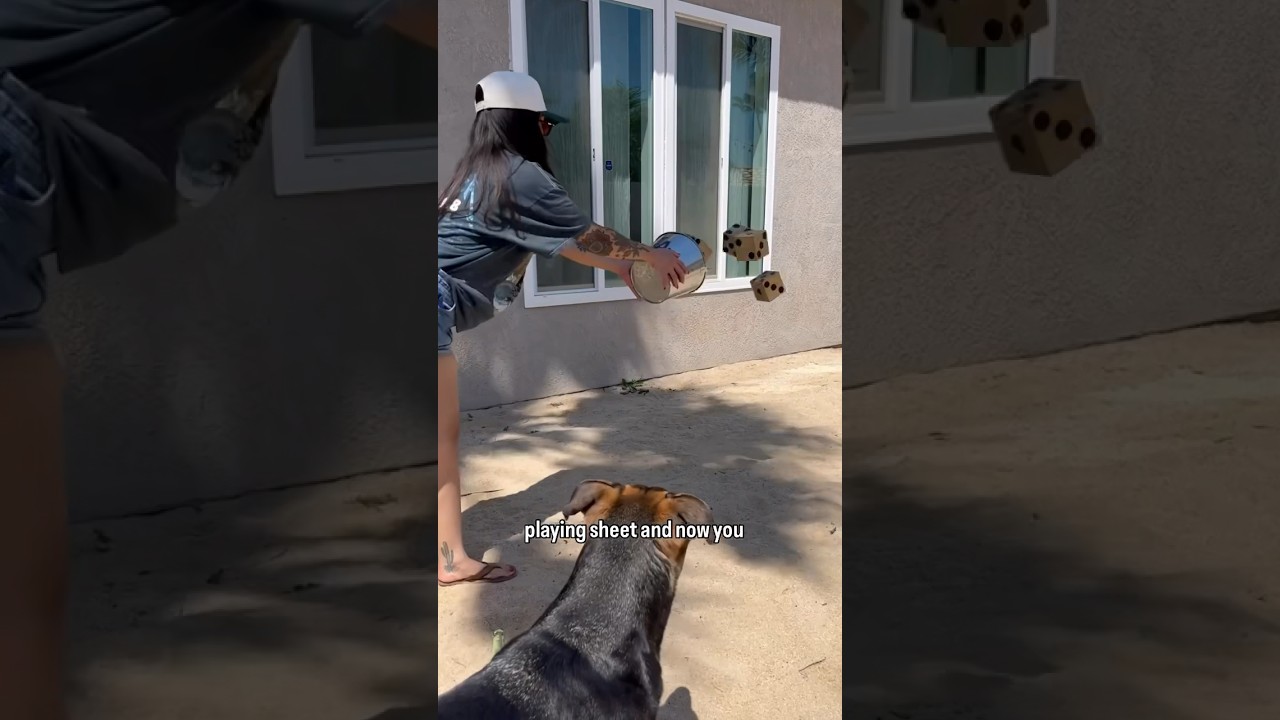 This is a MUST have DIY outdoor game 🤩🎲#shorts#outdoorgames#yardzee