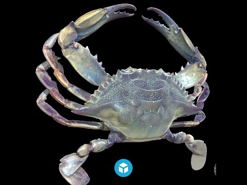 Sketchfab Cultural Heritage Top 10 3D Models 2022 Week 11