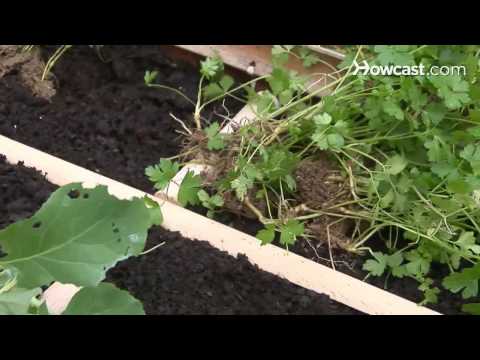 How to Plan a Square Foot Gardening Layout