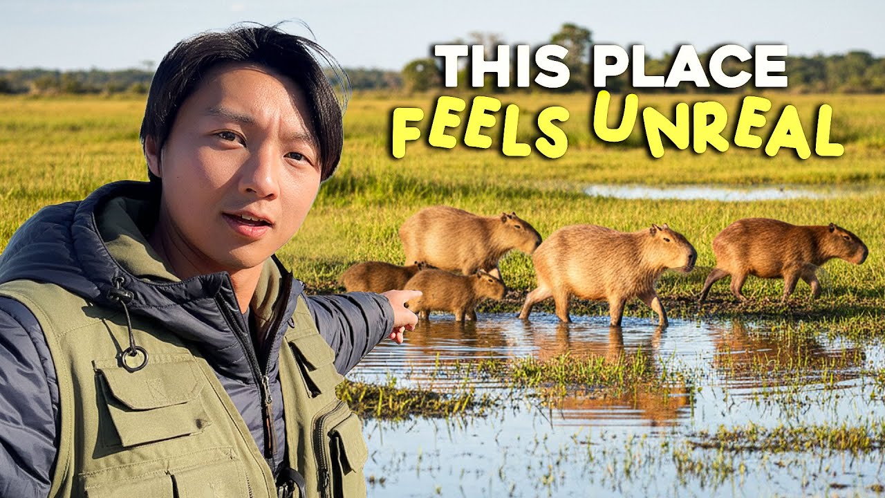 This Place in ARGENTINA is HIDDEN FROM THE WORLD - Iberá Wetlands