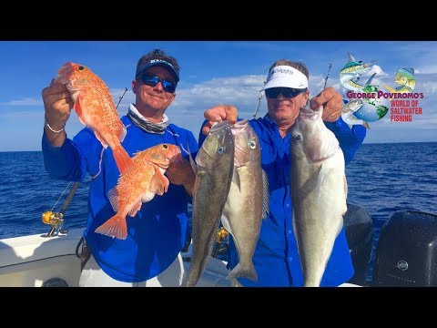 2018 - Episode 11 - Lower FL Keys, of Bluelines & Rosies!