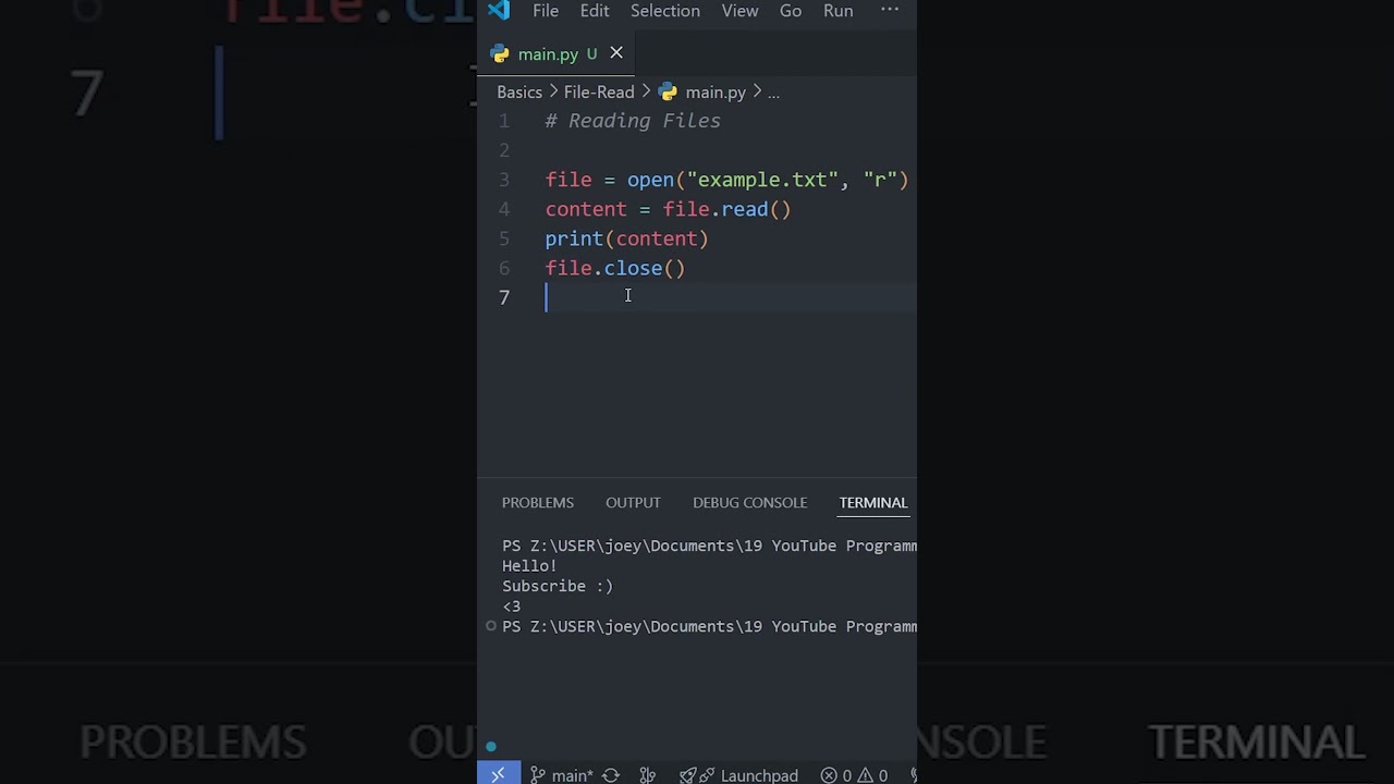 Python Basics: READ FILES in Under a Minute! 👓📂