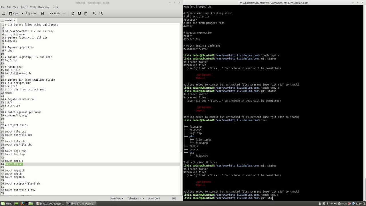 Git Ignore files using .gitignore #75
