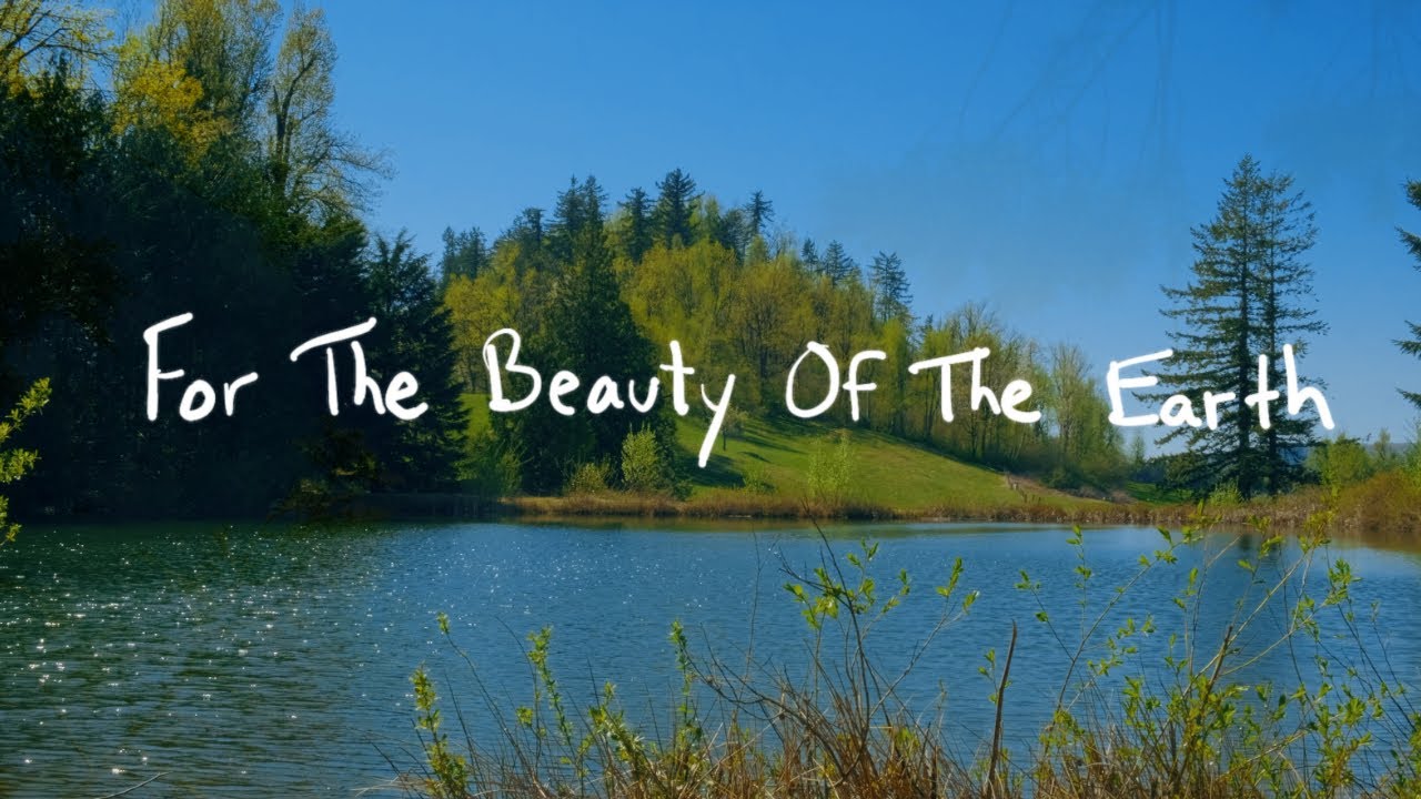 For The Beauty | Brian Doerksen | Official Lyric Video