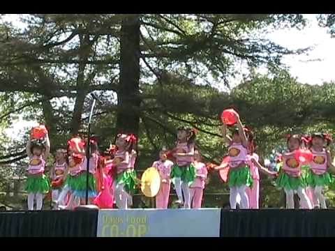 Sacramento Chinese Folk Dance Picnic Day 2008
