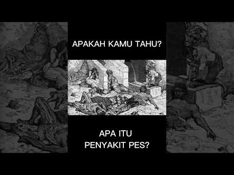 APAKAH KAMU TAHU PENYAKIT PES?