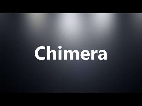 Chimera - Medical Definition