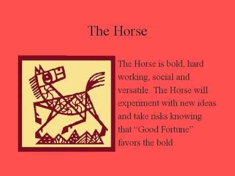 Chinese Zodiac &.wmv