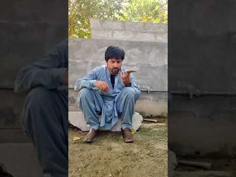 PK Vines New 2022 Funny Tiktok Video Today