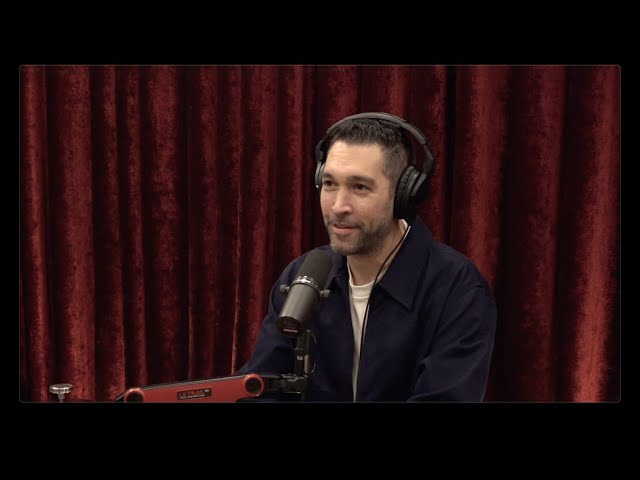 Joe Rogan: Michael Bisping credits Joe Rogan for Petr Yan's memorable ...