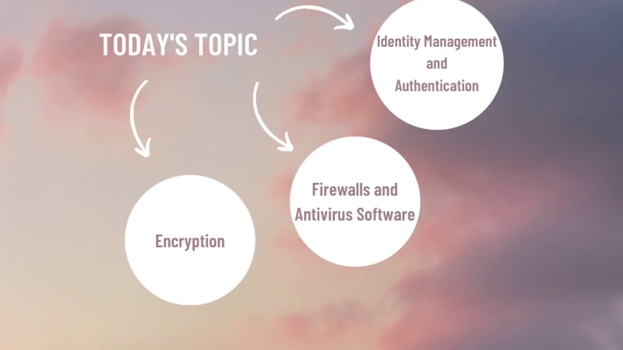 MIS CHAPTER 8 : Securing Information System