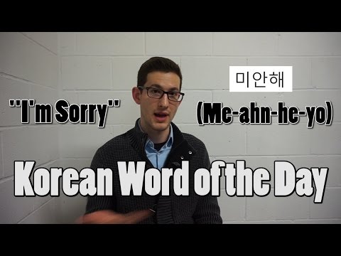 How to say "I'm Sorry" in Korean