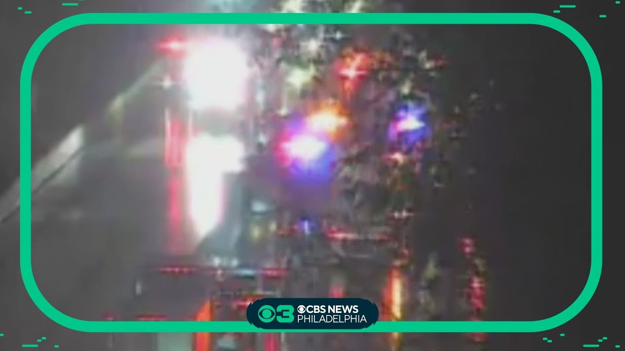 Tree falls on Schuylkill Expressway, closes eastbound lanes